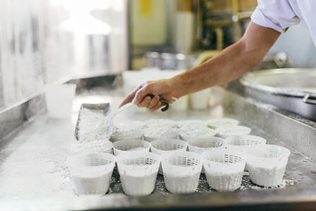Büffelmozzarella, kleine Kugeln, Beutel, Casa Madaio - Viani